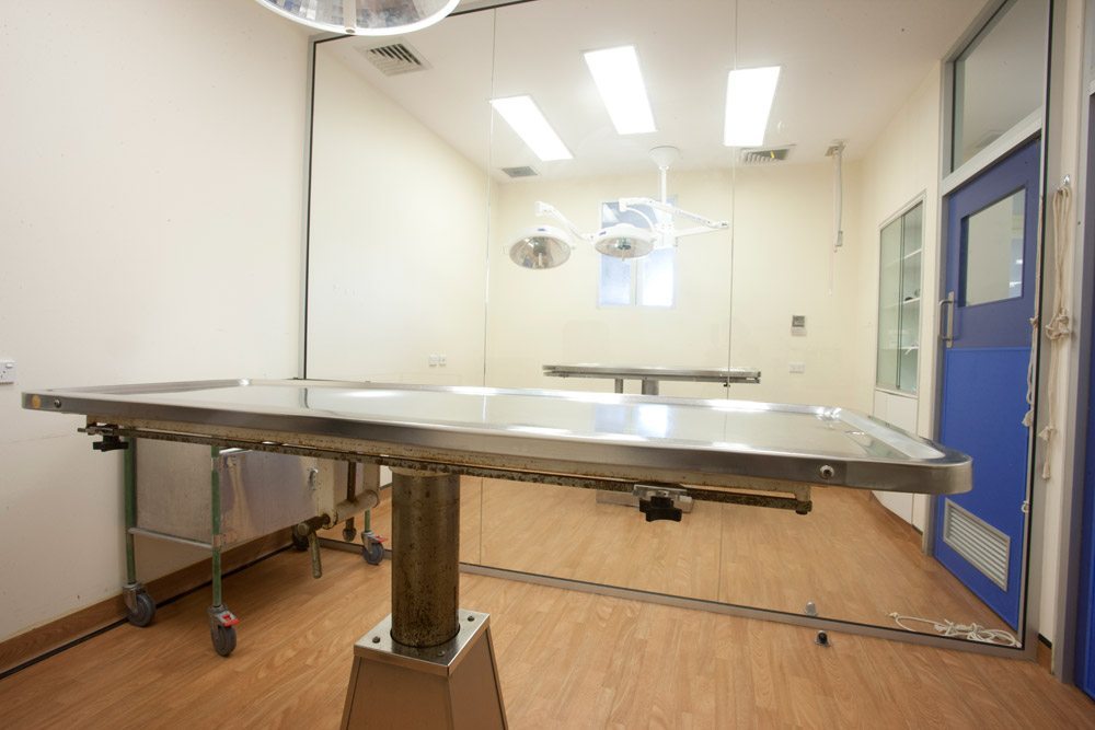Veterinary Surgical Services & Pet Health in Sydney | VetMed