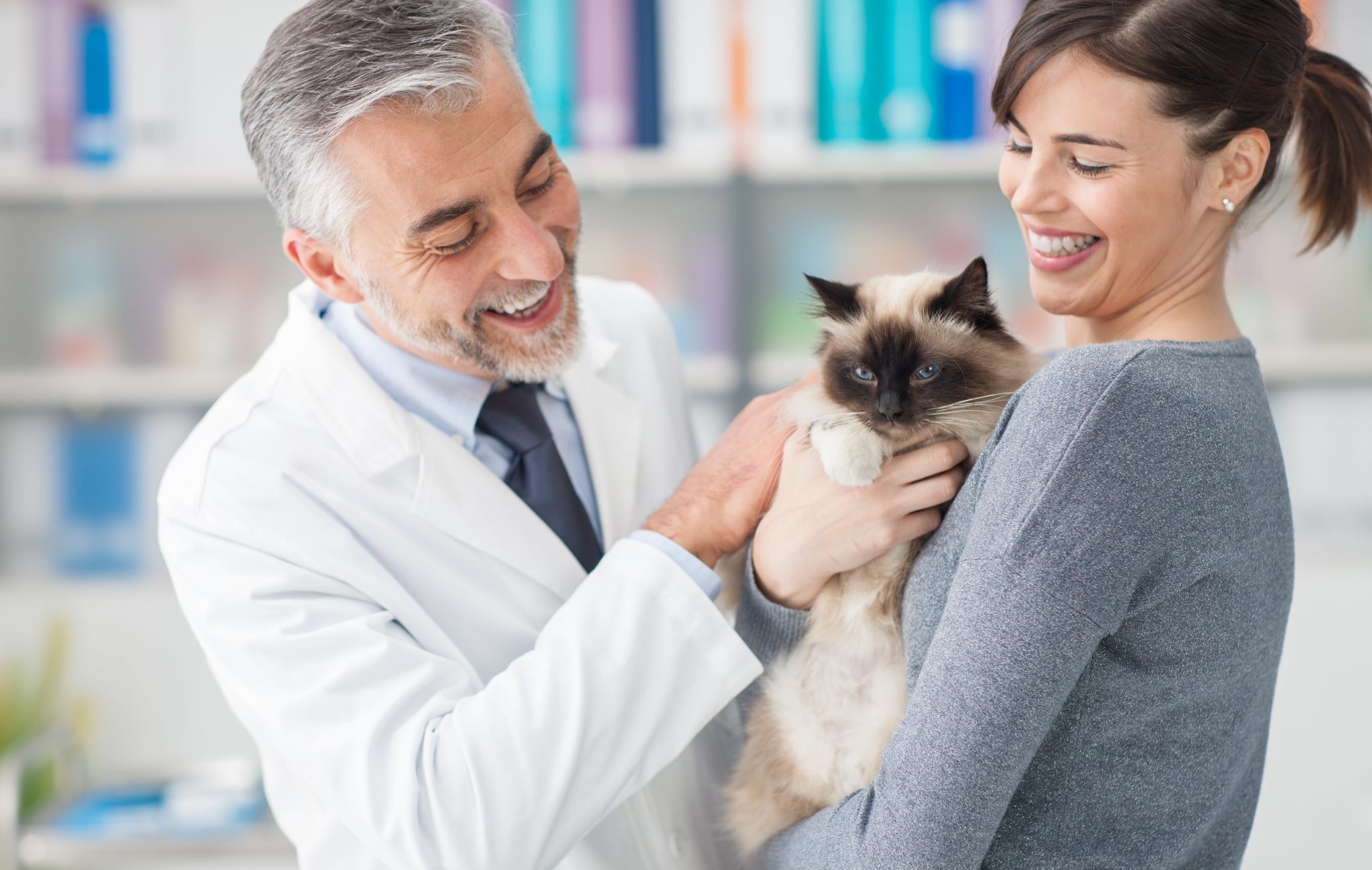 New Innovations in the Vet World | Sydney, NSW | VetMed