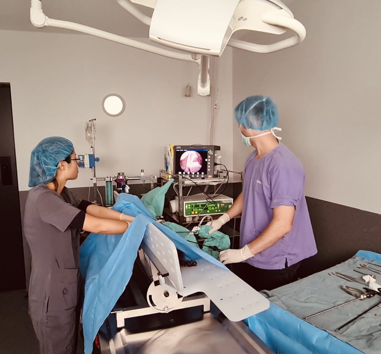 Veterinary Surgery Services Sydney - Vetmed