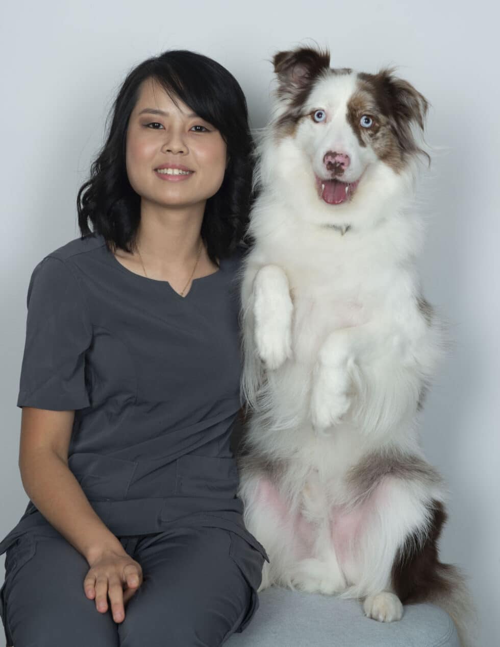 Dog Boarding Sydney Pet Boarding Sydney dog-boarding-sydney-pet-boarding-sydney