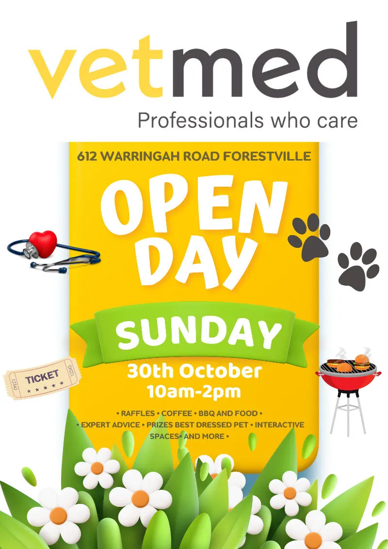 The Vintage Advantage. Looking after Senior Pets - Vetmed