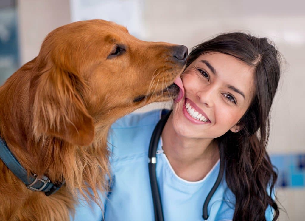 Expert Veterinary Care in Frenchs Forest, North Shore