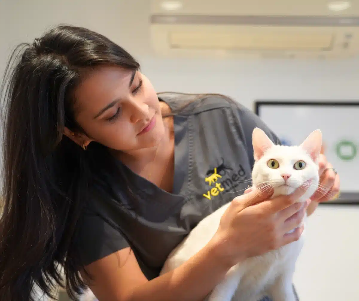 Why Regular Vet Check-Ups Matter at Every Life Stage - Vetmed